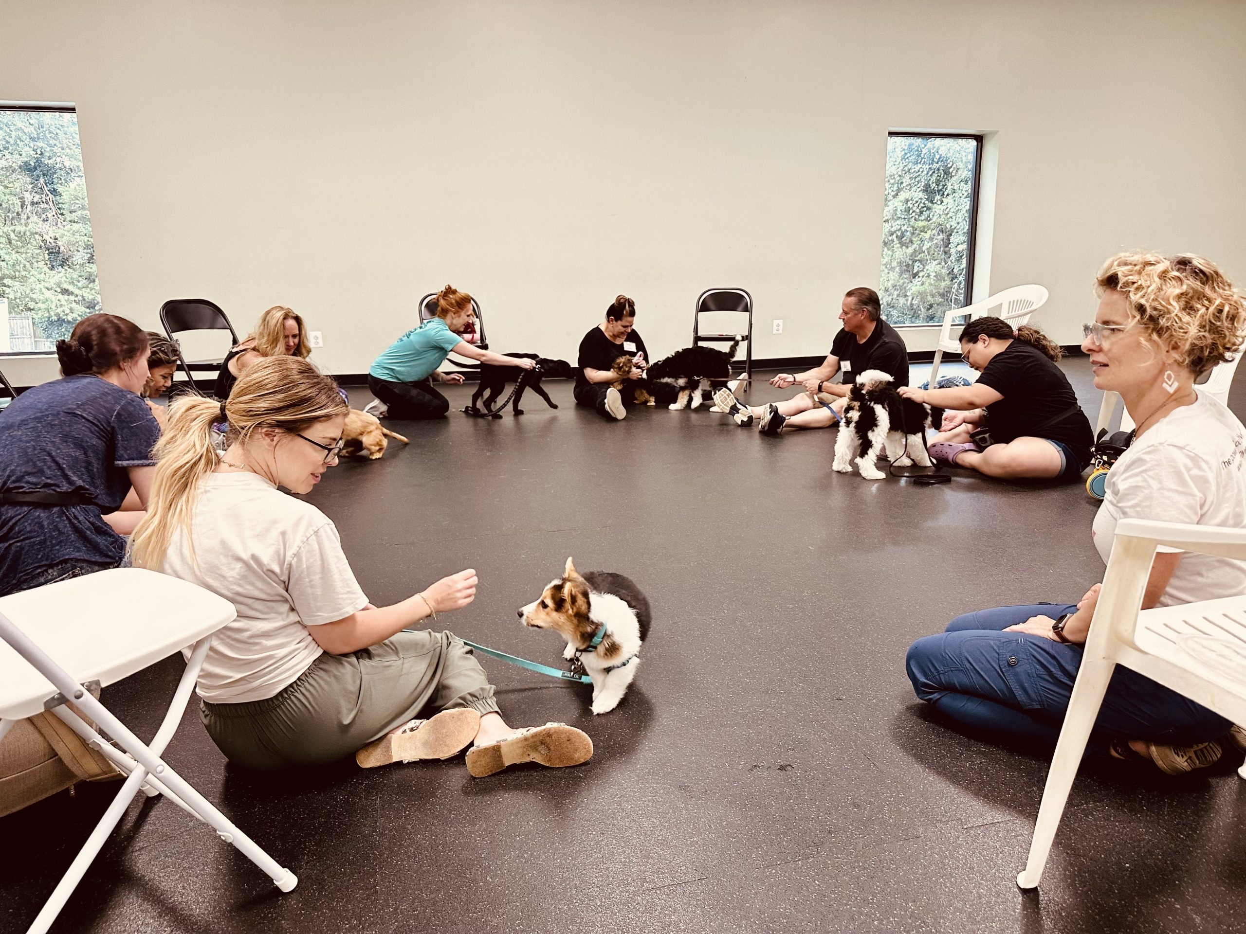 Puppy Training | PuppyK